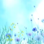 Do you believe everything you hear? | Candida Sullivan